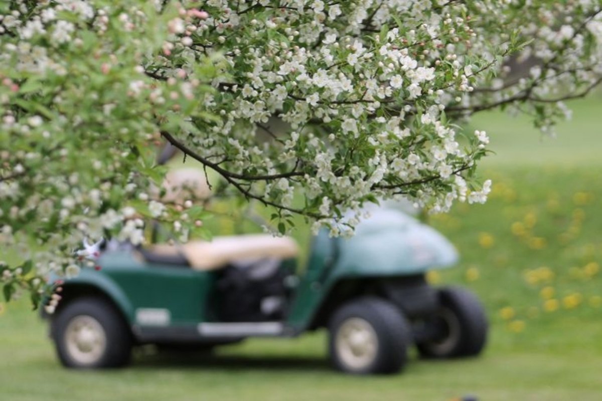 Willowbrook Golf Club course view with golf cart under flowering trees